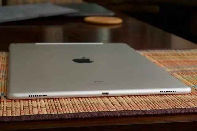 iPad (lightning) - Mic-Lock